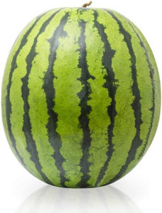 WILLVINE GUA-423 FLORIDA GIANT WATERMELON Cannon Ball Seed Price in ...