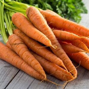 VibeX ® XLR-101 Coreless Tendersweet Carrot Seeds Seed Price in India ...