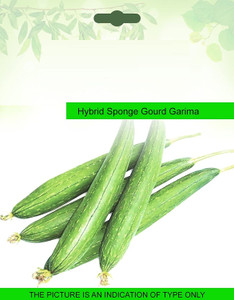VibeX ® VLR-157 Sponge Gourd Tori Seed Seed Price in India - Buy VibeX ...