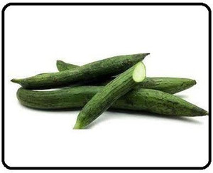 VibeX ® VMR-172 Sponge Gourd (Torai) Vegetable Seeds Seed Price in ...