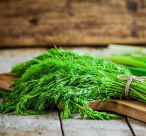 GRAXY Garden Fennel - Sprinter - Anet Dill/Soya Seed Price in India ...