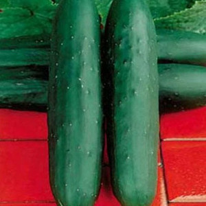 WHYGI Heirloom Jointed Gourd-Hairy Melon Seeds(Mokwa Long)-CuC_212 Seed ...
