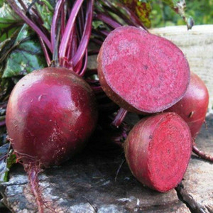 Radha Krishna Agriculture Imported Beet Root Vegetables Seeds For Home ...