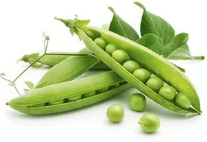 MYLAWN Super Sweet Peas Matar Seed Price in India - Buy MYLAWN Super ...
