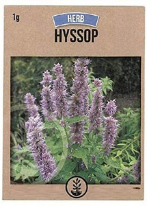 CYBEXIS Hyssop Medicinal Herb Seed800 Seeds Seed Price in India - Buy ...