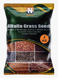 Numinous Alfalfa, Methi, Medicago Sativa, Rajka, Lucerne, 3 Sali Fodder ...