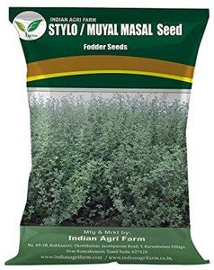 IAgriFarm Stylo / Muyalmasal / Stylosanthes Scabra - 3 kg - for Fodder ...