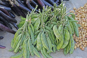 Aywal Semphali organic plant Seed Price in India - Buy Aywal Semphali ...