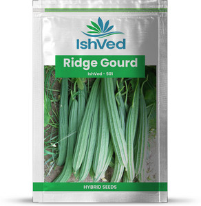 IshVed Ridge Gourd Seed Price in India - Buy IshVed Ridge Gourd Seed ...