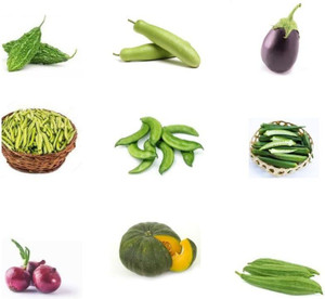 CYBEXIS Vegetable Seeds Combo Pack Of 9 Varieties Seed Price in India ...