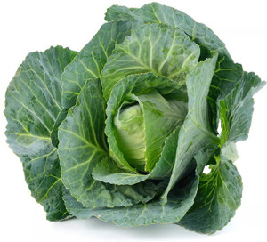 MYLAWN Round Shape Green Ball Style Cabbage Seed Price in India - Buy ...