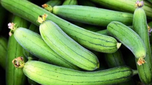 Avysa SPONGE GOURD - TORI Seed Price in India - Buy Avysa SPONGE GOURD ...