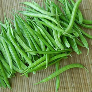 mseeds gwarfaliseeds,guar pod seeds Seed Price in India - Buy mseeds ...