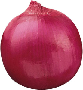 CYBEXIS Rare Red Onion Seeds-500 Seeds Seed Price in India - Buy ...