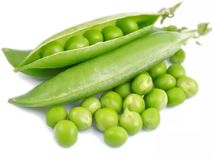 MYLAWN (Matar) Peas Seeds (मटर के बीज) Seed Price in India - Buy MYLAWN ...