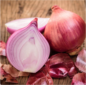WILLVINE MEH -I Red Burgundy Onion Seeds [2.5g] Seed Price in India ...