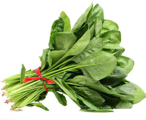 CYBEXIS Spinach Seeds Fresh Green No Pollution1000 Seeds Seed Price in ...