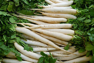 KANAYA Radish Mooli Vegetable(Mooli Ke Beej) Seed Price in India - Buy ...