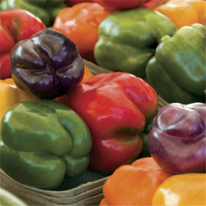 CYBEXIS Vegetables Fruit Peter Pepper Multicolor Capsicum Chili ...