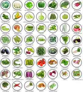 FLARE SEEDS 52 Variety of Vegetable Seeds Gardening Combo Seed Price in ...