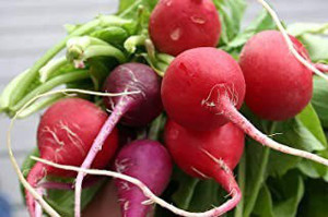 Aro Radish, Radish Red Ball Seed Price in India - Buy Aro Radish ...