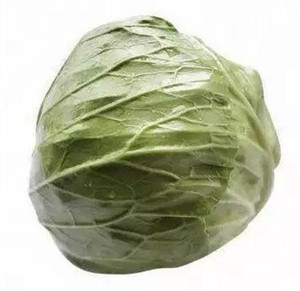 MYLAWN Round Shape Green Ball Style Cabbage Seed Price in India - Buy ...