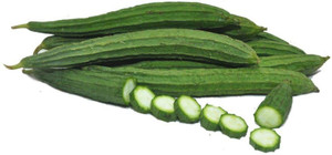 KANAYA Dhari Tori (Ridge Gourd) Hybrid Vegetable Seed Price in India ...