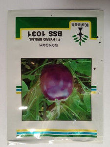 Kalash f1 hybrid Sangam (BSS 1031) Brinjal ,baigan Seeds Seed Price in ...