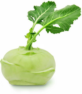 the green dotcom Ol kopi, kohlrabi Seed Price in India - Buy the green ...