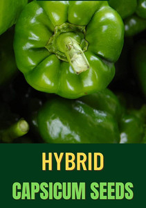 VibeX Capsicum Seed Price in India - Buy VibeX Capsicum Seed online at ...
