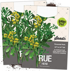WILLVINE Rue Herb (Ruta graveolens)-2 x Packet Seed Price in India ...