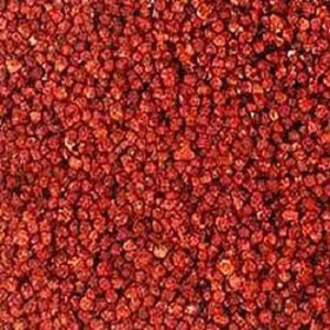 MGBN KALIHARI-GLORIOSA SUPERBA-KALAPPAI KILANGU-SEED - 75 GM Seed Price ...