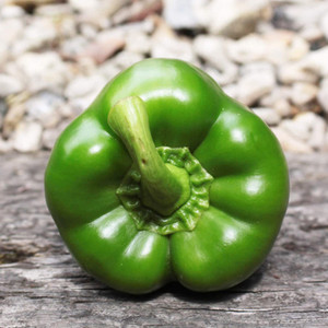 CYBEXIS F1 Hybrid Green Capsicum Sweet Bell Pepper Seeds 1200 Seeds ...