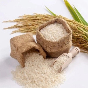 naturehils Basmati Paddy, Basmati Rice Seed-1109 for Farming ...