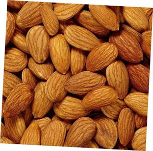 VibeX GUA-15 - Almond (Kagaji Badam) - (30 Seeds) Seed Price in India ...