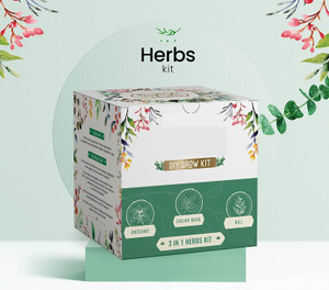 CYBEXIS Grow Kit - Italian Basil, Oregano & Dill Seed Price in India ...