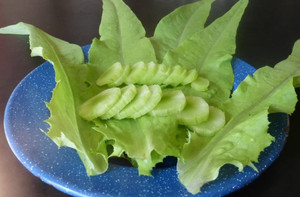 VibeX ® RXI-542 Sword Choy/Chinese Lettuce Seeds Seed Price in India ...