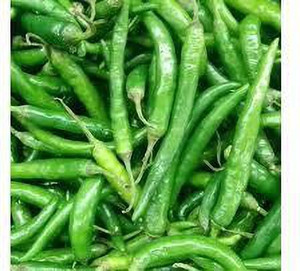 greenfarm Chilli Seeds Pure Organic chilli Mirchi Seeds (700 seeds ...