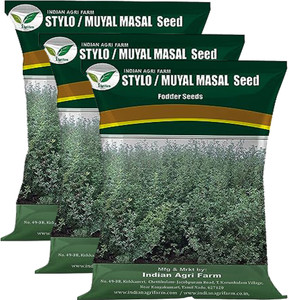 IAgriFarm Stylo / Muyalmasal / Stylosanthes Scabra - 3 kg - For Fodder ...