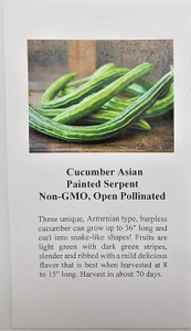 VibeX ® XLR-125 Hybrid Rare Long Snake Gourd Seed Price in India - Buy ...