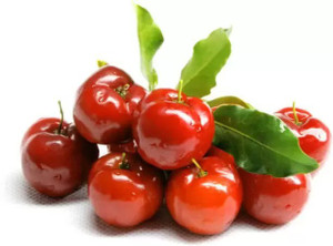 Aro Cherry, Sweet Cherry Seed Price in India - Buy Aro Cherry, Sweet ...