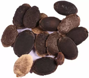 MAA Ridge Gourd, Turai, Luffa Seed Price in India - Buy MAA Ridge Gourd ...