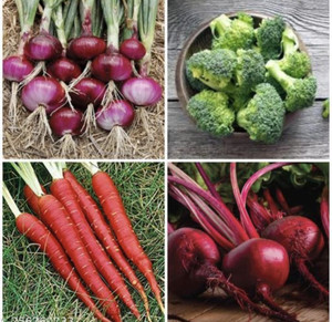 XOLDAA TOMATO,BRINJAL,CILLI,BITTERGUARD,BOTTLEGUARD,8 TYPES VEGETABLES ...