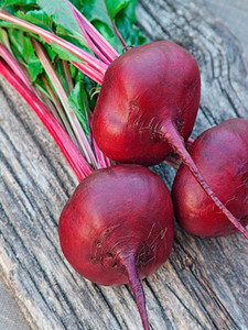 MYLAWN Blood Turnip Mangel Beetroot Garden Seed Price in India - Buy ...