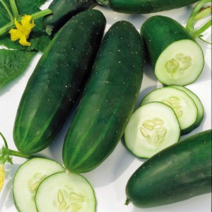 WHYGI Self-Pollinating Cucumber April F1 Heirloom Vegetable Seeds-CuC ...