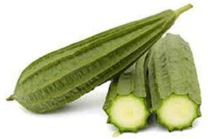 VibeX Tori / Ridge Gourd Seeds[250 Gms, 1250 Seeds] Seed Price in India ...