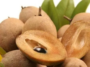 Aro Chikoo, Sapota, Chiku Seed Price in India - Buy Aro Chikoo, Sapota ...