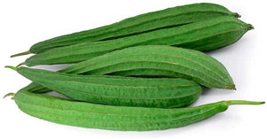 DHENU PRASAD 2846 F1 Hybrid Ridge gourd (turai) Seed Price in India ...