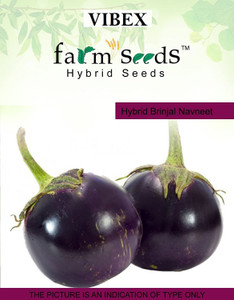 WILLVINE Hybrid Brinjal Navneet Seeds-(2000 Seeds) Seed Price in India ...