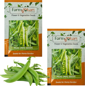 farmgokart |2 Packets of PEAS SEEDS |Quality vegetable Seeds Pouch|Home ...